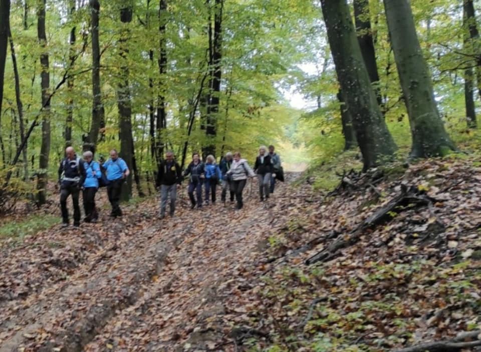 Dilj gora – Čardak